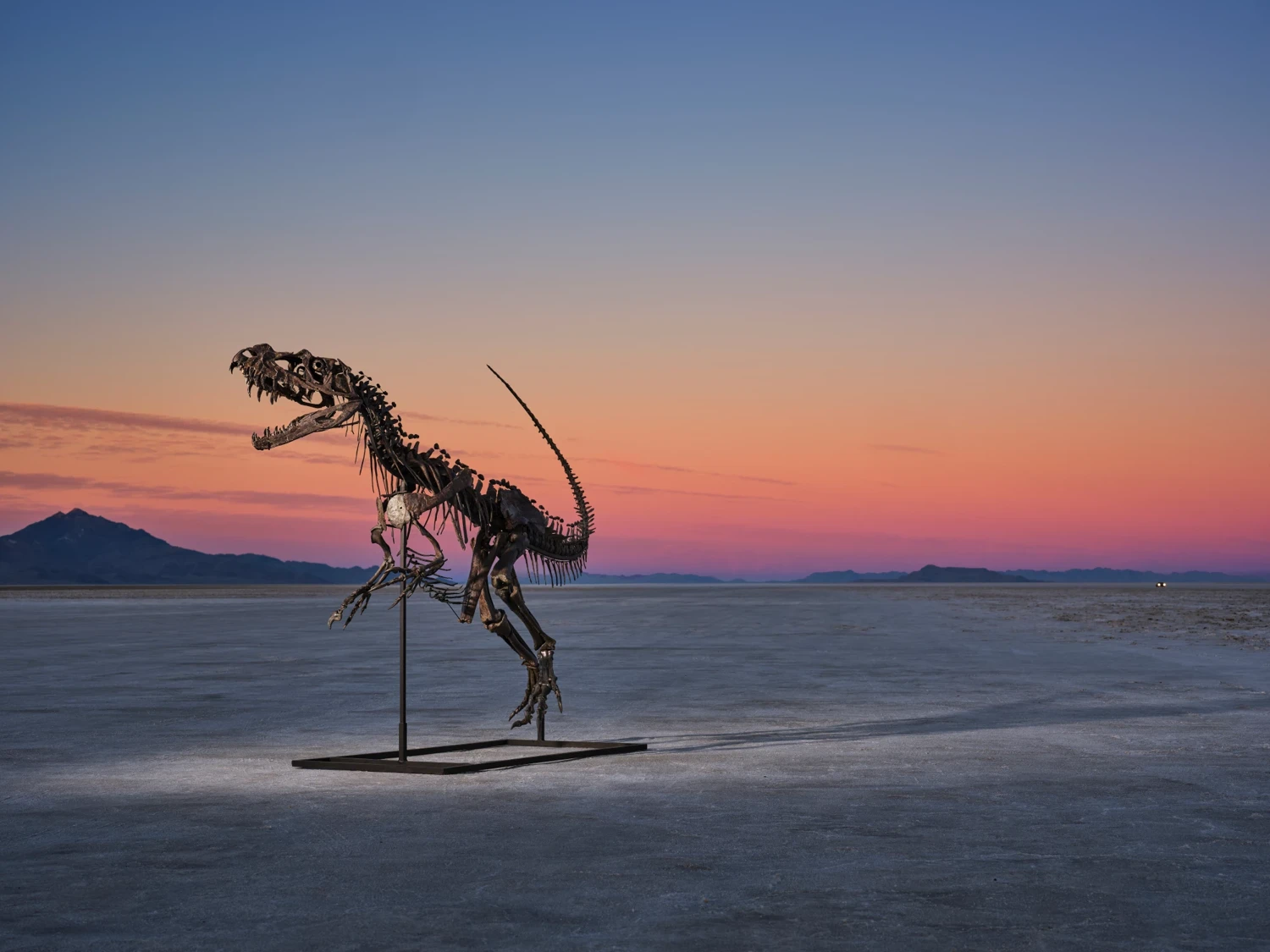 Second Record-Breaking Dinosaur Fossil Sold at Sotheby’s for $30.5 ...